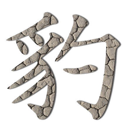 About Kempo: Shaolin Leopard | Potomac Kempo